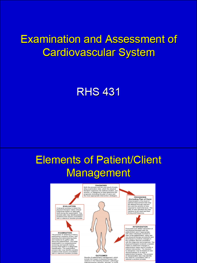 Cardiovascular System Assessment Guide | PDF | Heart | Clinical Medicine