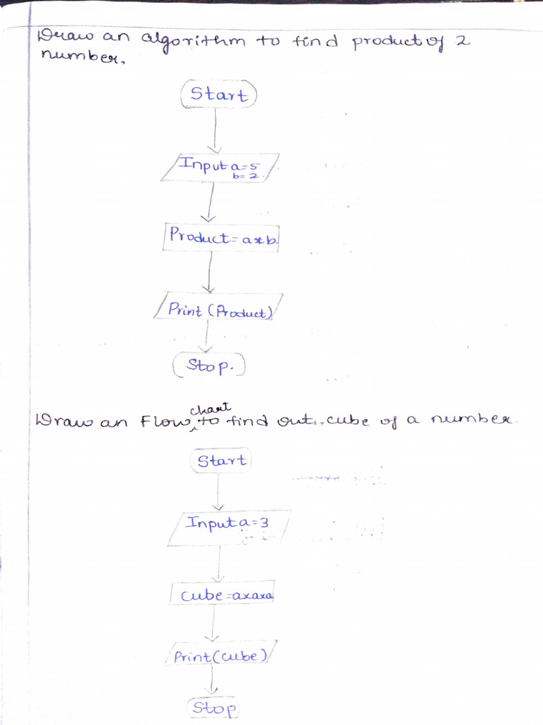 Biology lab notes and procedures | PDF