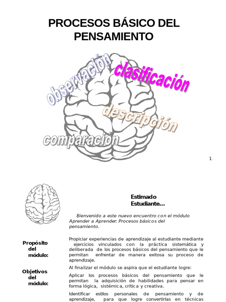 Material de Apoyo-Procesos Básicos Del Pensamiento-2010 (1) | PDF | Aprendizaje | Pensamiento