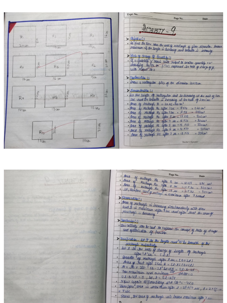 Maths Activity 9 | PDF