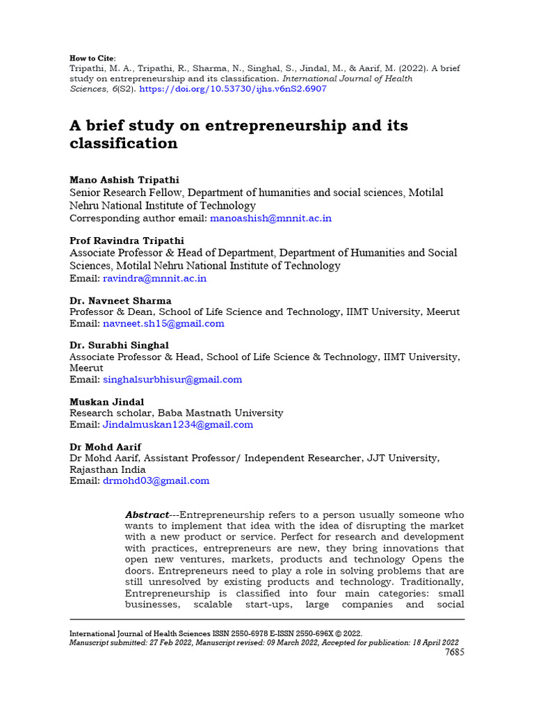 Classification of Entrepreneurship | PDF | Entrepreneurship | Social ...