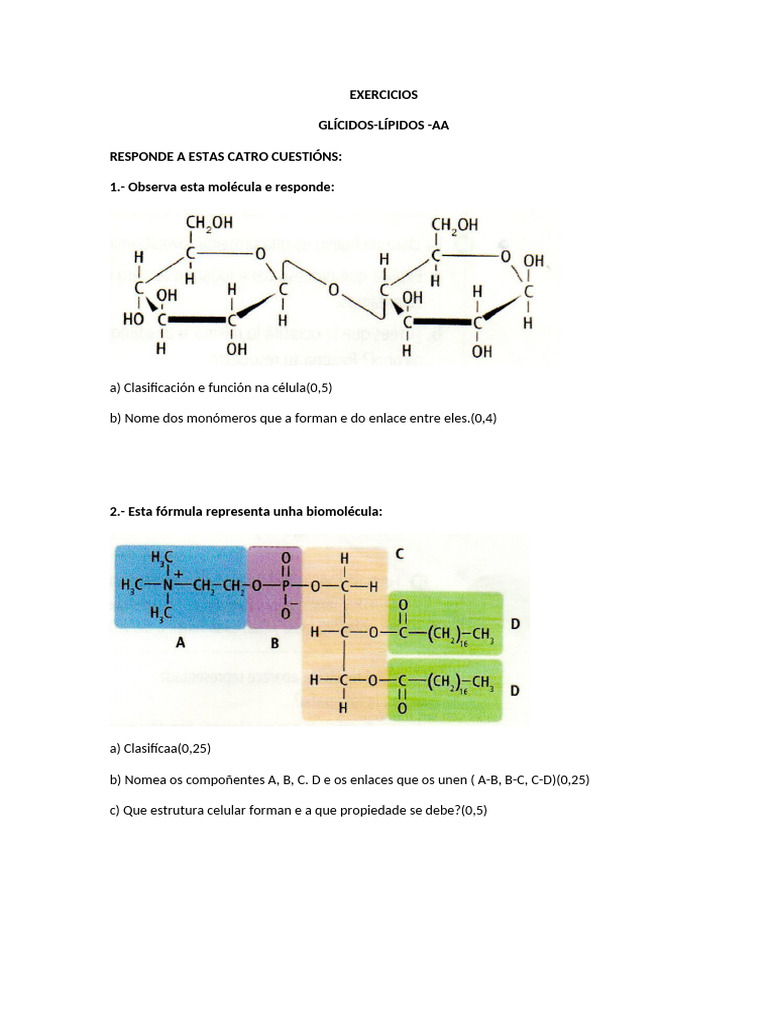 Exercicios de Gli Cidos, Lípidos e Aa | PDF