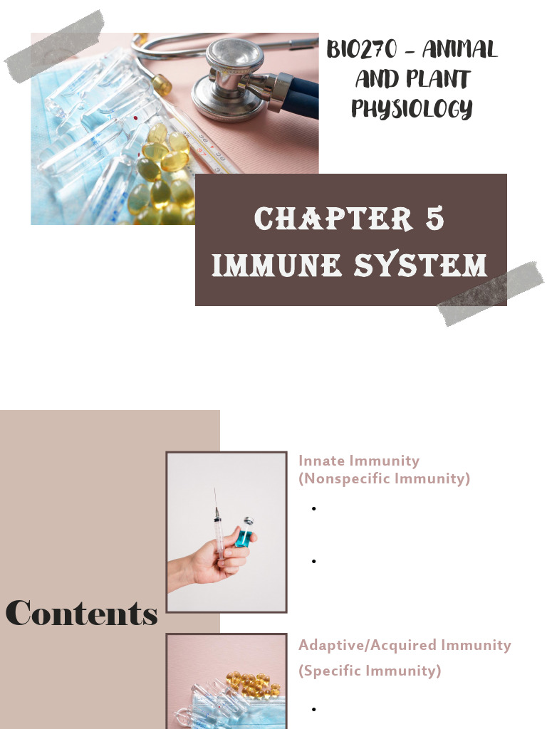 Chapter 5 Immune System | PDF | B Cell | Immune System