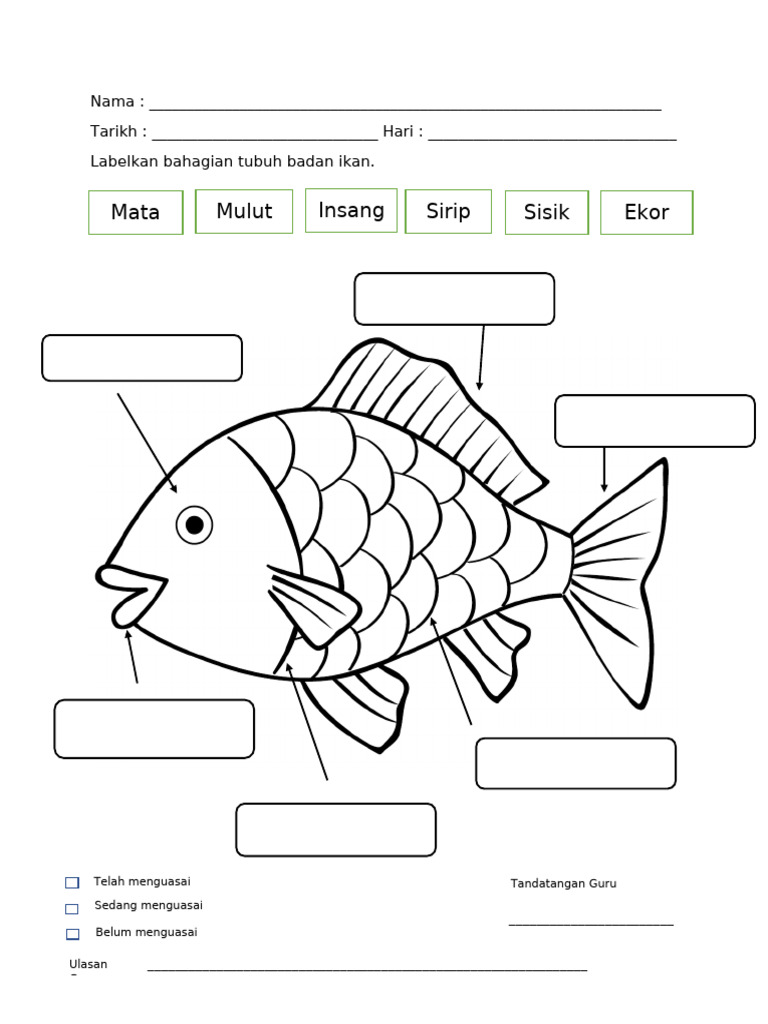Lembaran Kerja Bahagian Badan Ikan | PDF