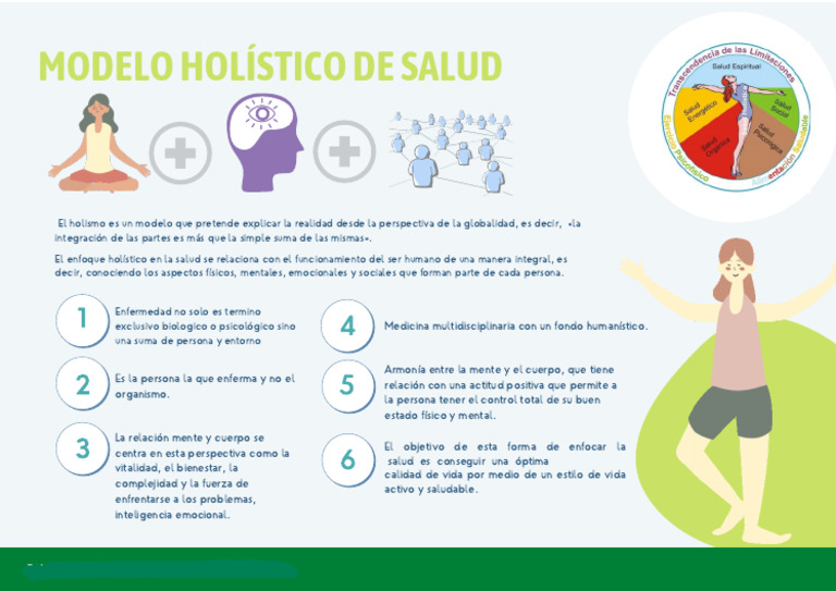 Póster Modelo Holistico | PDF