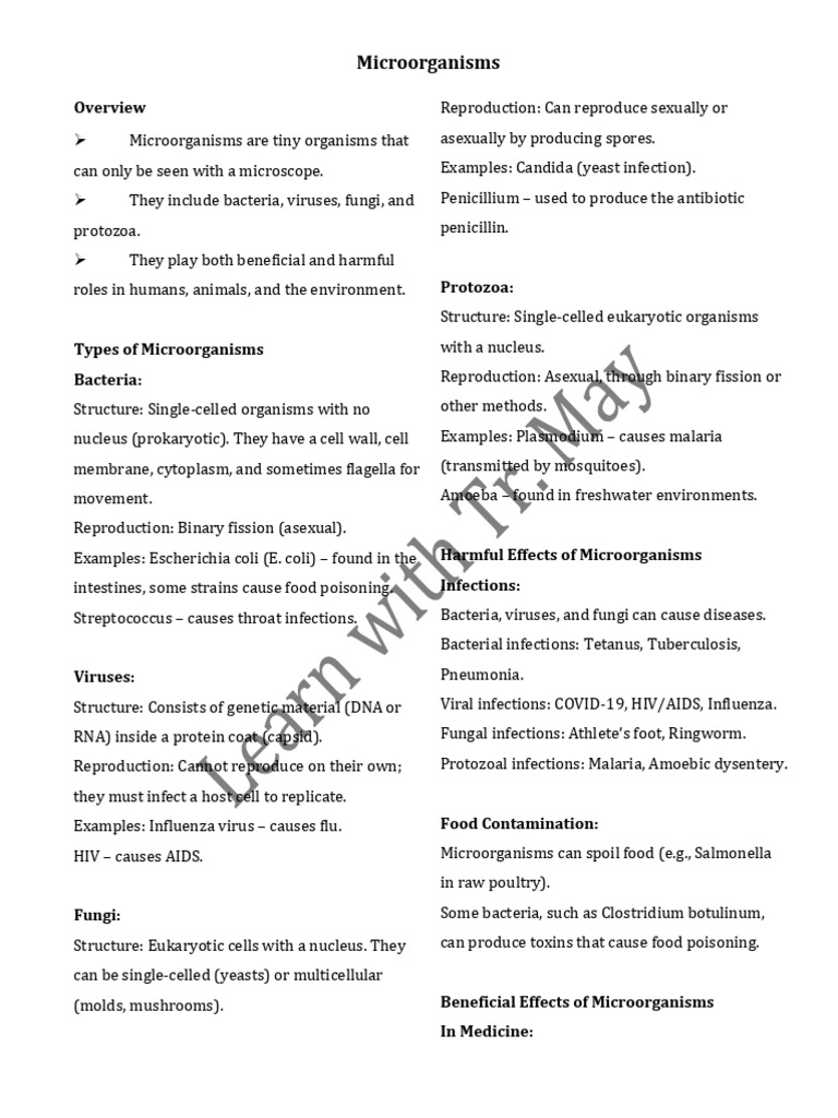 IGCSE Human Biology (Microorganisms - Notes) | PDF | Bacteria | Infection