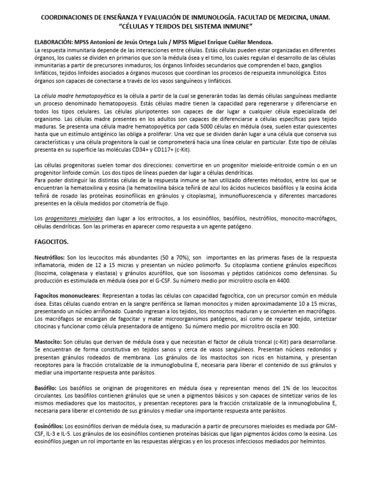 Celulas y Tejidos Del Sistema Inmune | PDF | Linfocitos | Hematopoyesis