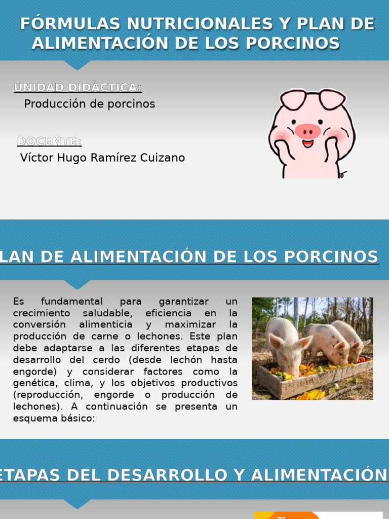 formulas nutricionales y plan de alimentación de victor | PDF ...