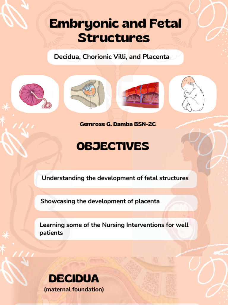 Decidua-chorionic-villi-and-fetal-structures | PDF | Placenta | Fetus