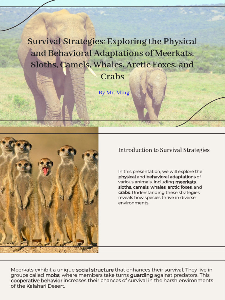 Animal Survival Adaptations | PDF | Crab | Meerkat