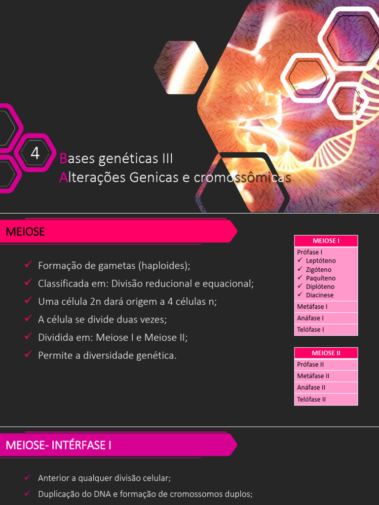 Meiose UNINOVE | PDF | Meiose | Gêmeo