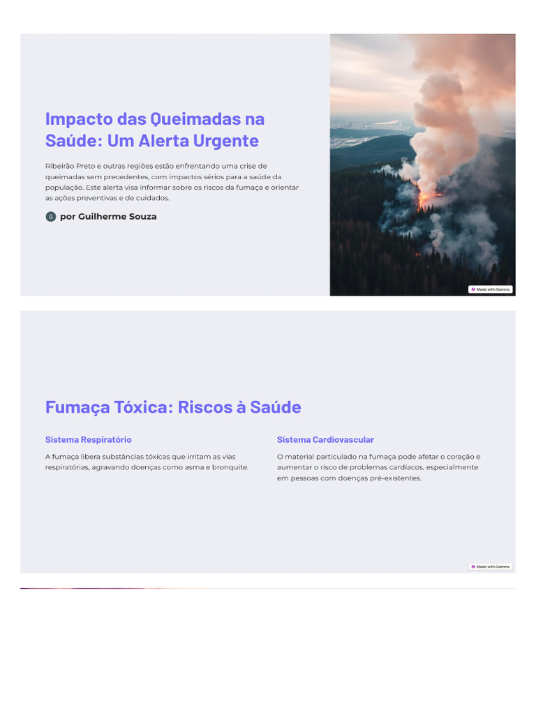 Queimada S | PDF