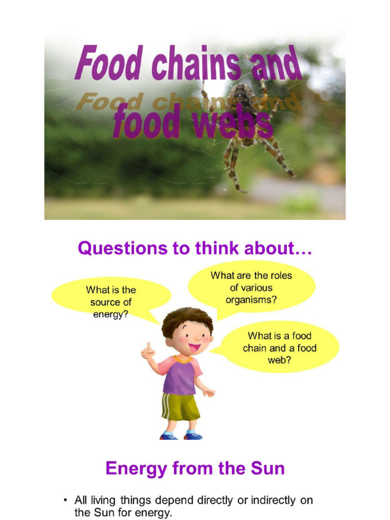 Food Chain and Food Web | PDF | Predation | Foods