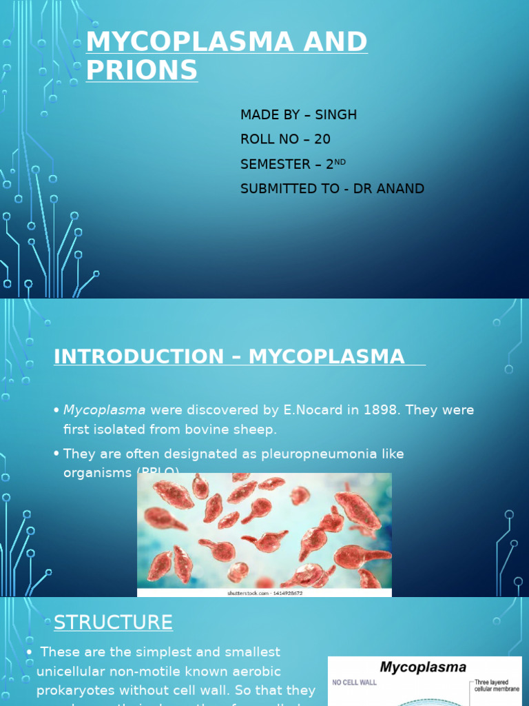 MYCOPLASMA AND PRIONS | PDF | Protein Folding | Proteins