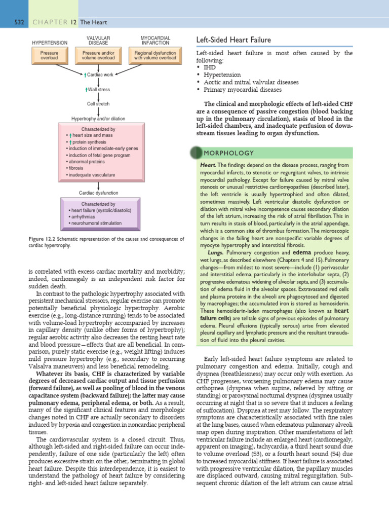 Robbins - Cotran Pathologic Basis of Disease, 10th edition-537 | PDF ...