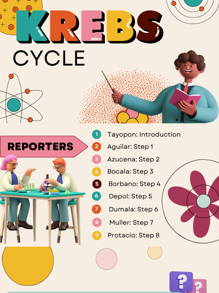 Kreb's Cycle Explained | PDF