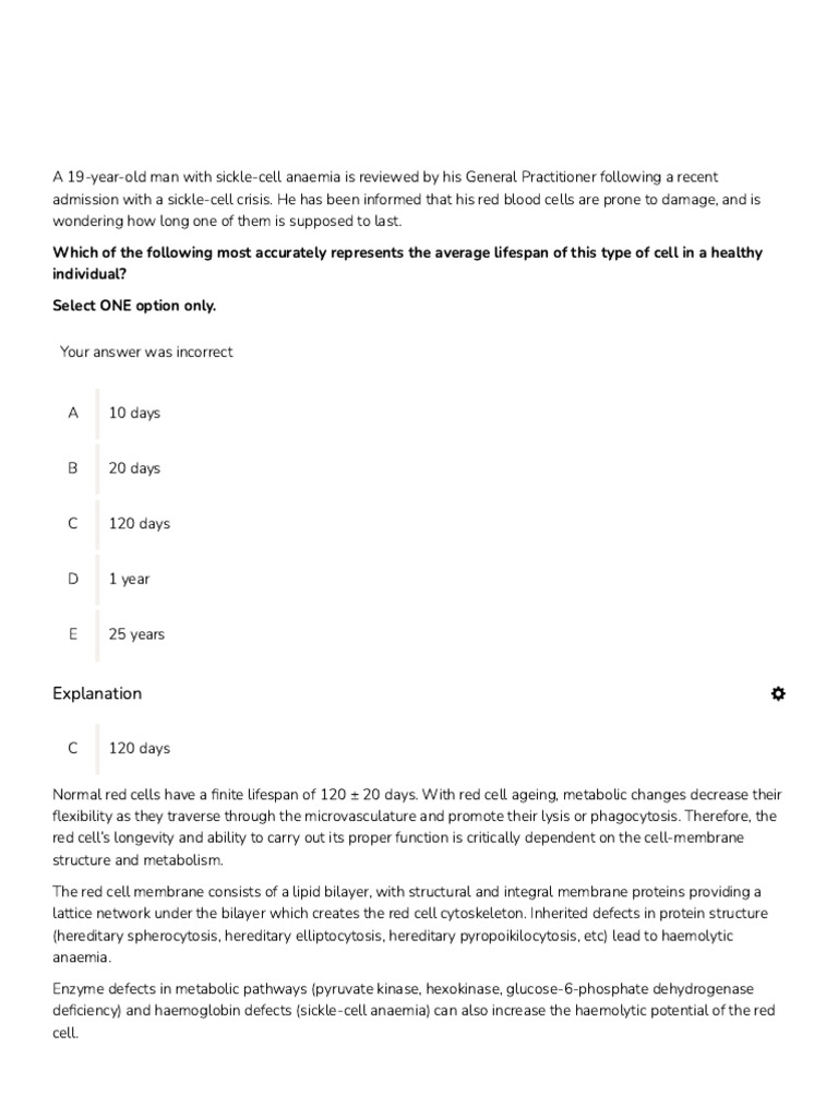 Which of The Following Most Accurately Represents The Average Lifespan ...
