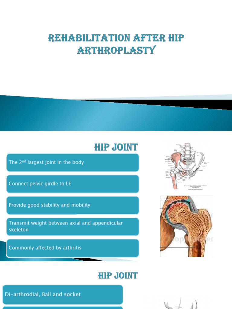 2.Hip arthroplasty | PDF | Hip | Anatomical Terms Of Motion