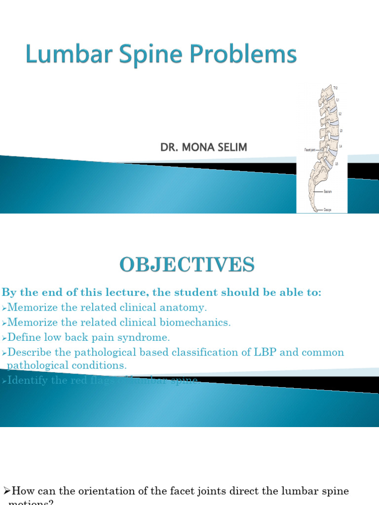 Understanding Lumbar Spine Anatomy & Function | PDF | Vertebra ...