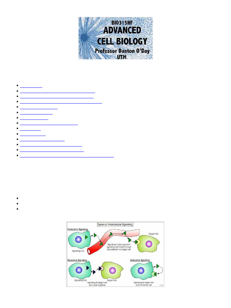 Cell Communication & Gap Junctions | PDF | Cell Signaling | Hormone