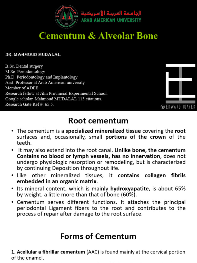 3…Cementum & Alveolar Bone | PDF | Tooth | Dentistry Branches