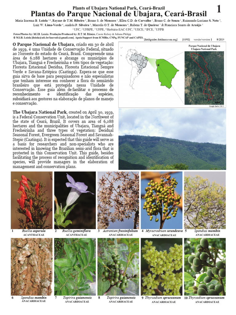 1192 Brazil Plants of Ubajara National Park | PDF