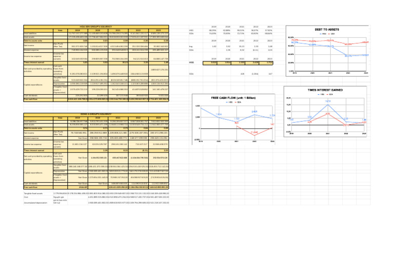 PA sheet - Solvency | PDF | Expense | Free Cash Flow