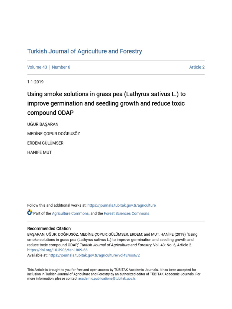 Using smoke solutions in grass pea (Lathyrus sativus L.) to impro | PDF | Seed | Germination