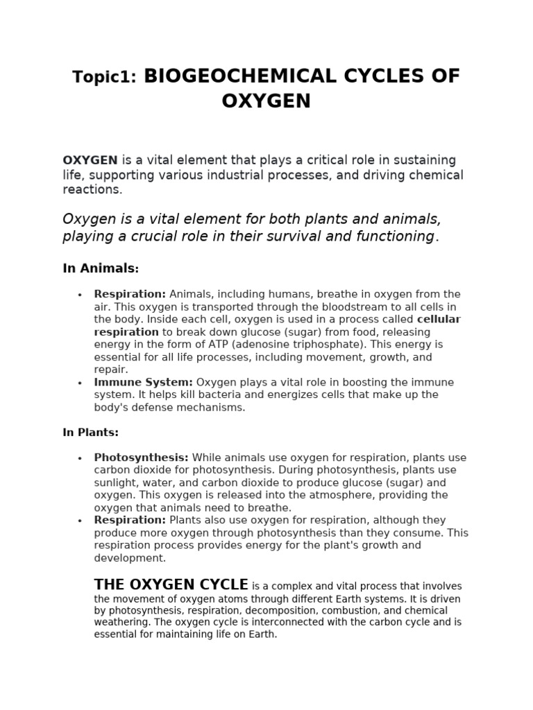 OXYGEN CYCLE | PDF | Oxygen | Cellular Respiration