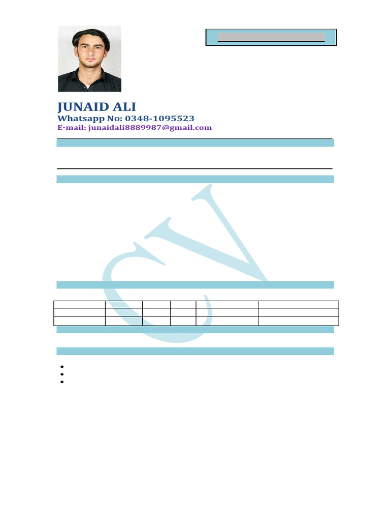 Junaid Ali CV | PDF
