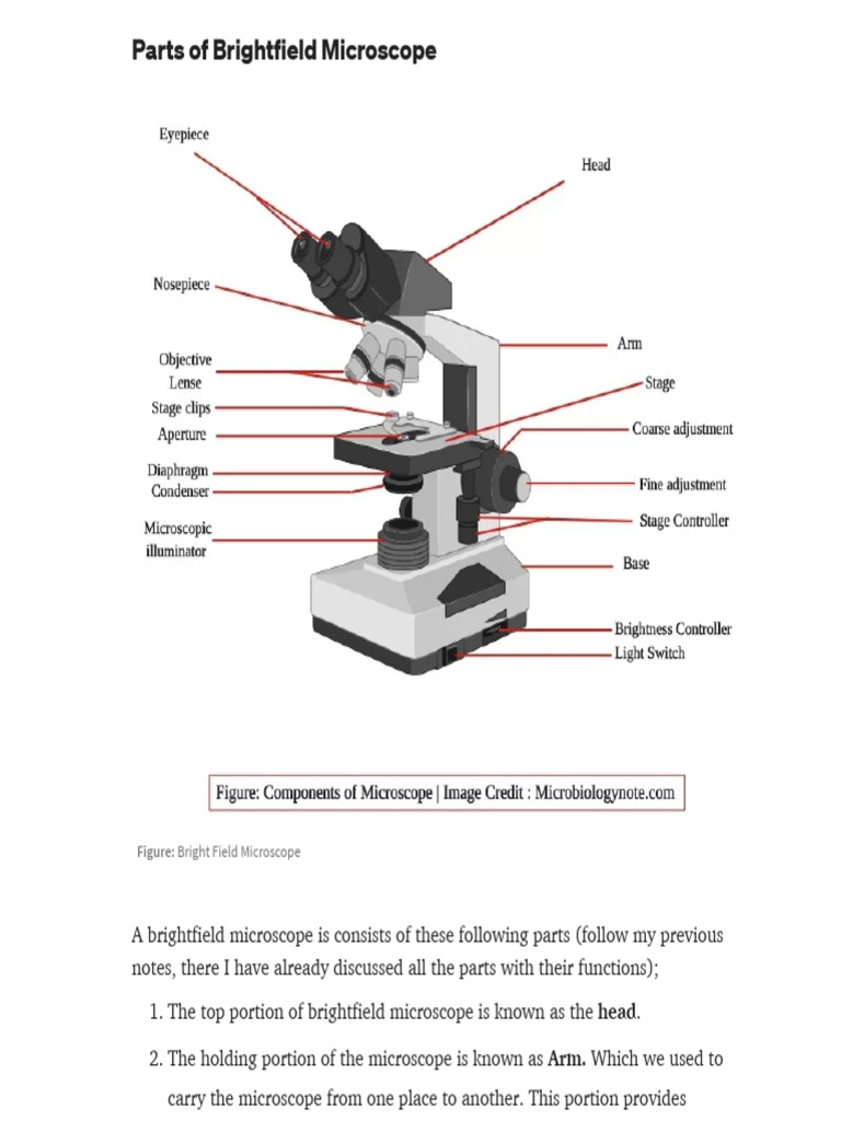 Parts and Functions of Brightfield Microscope | PDF | Optical Devices ...