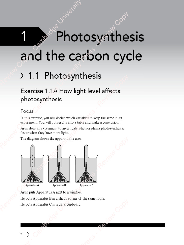 Kami Export - Homework | PDF | Photosynthesis | Applied And ...