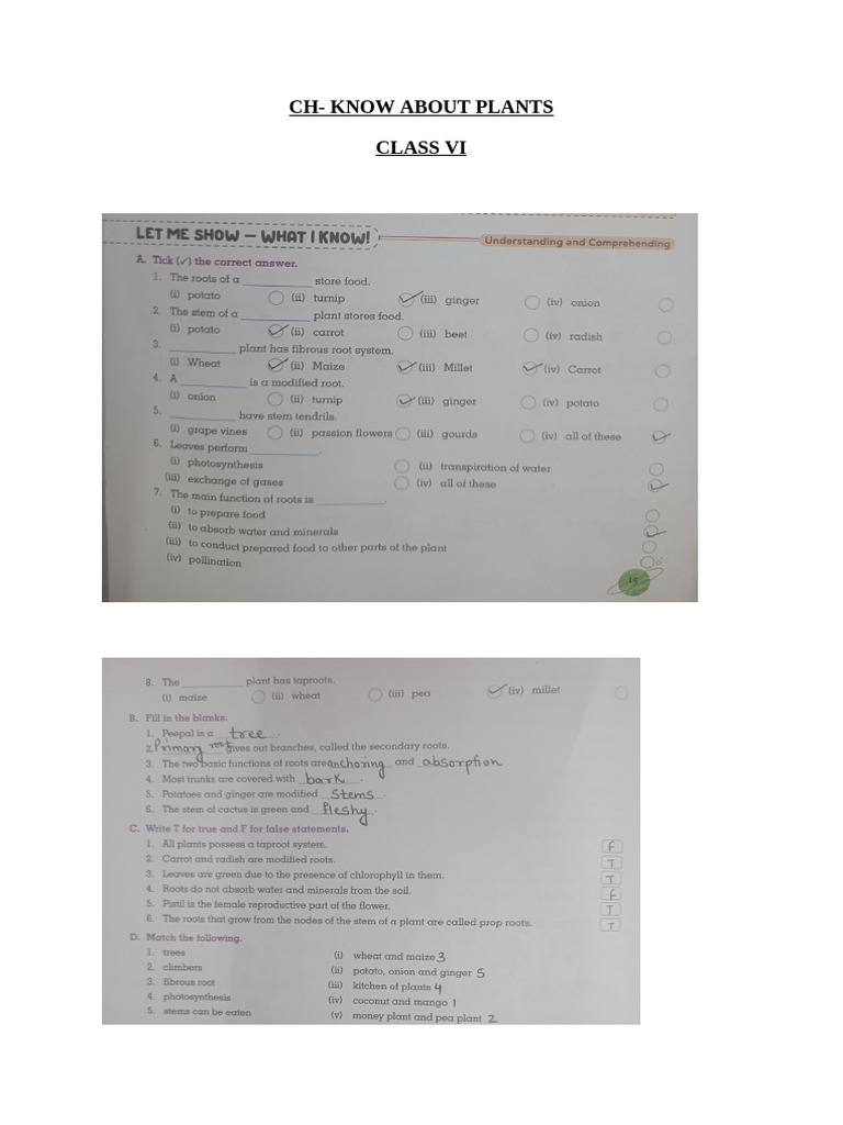 Ch_Know_about_plants4 | PDF | Leaf | Root