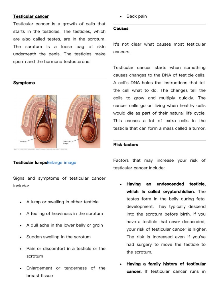 testicular cancer | PDF | Testicle | Cancer