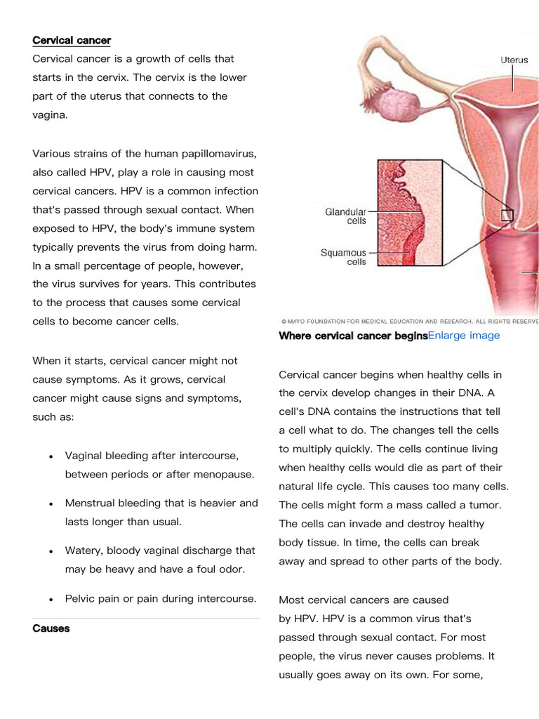 cervical cancer | PDF | Cervical Cancer | Sexually Transmitted Infection