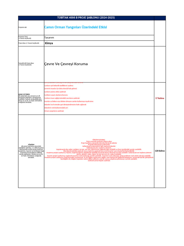 Kopya TÜBİTAK 4006 B PROJE ŞABLONU (2024-2025) | PDF