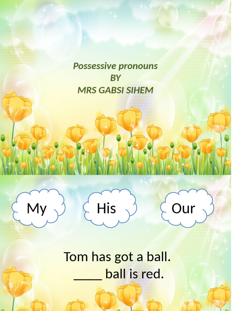 Possessive Pronouns Game Games - 126011 | PDF