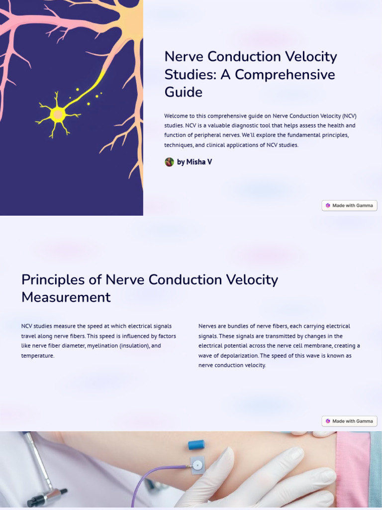 Nerve Conduction Velocity Calculation Guide | PDF | Nerve | Neuroscience