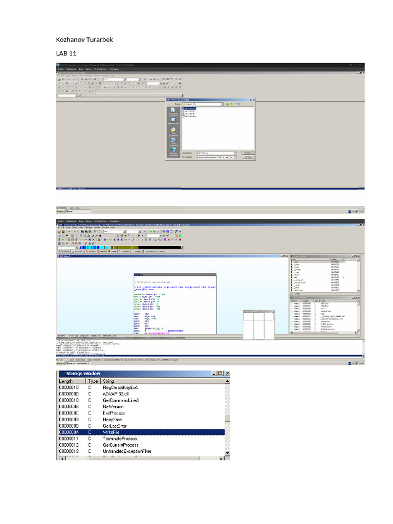 Lab 11 & 12 Analysis Report | PDF