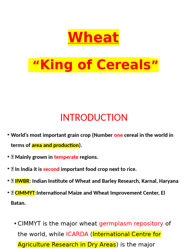 Wheat Final | PDF | Wheat | Sowing