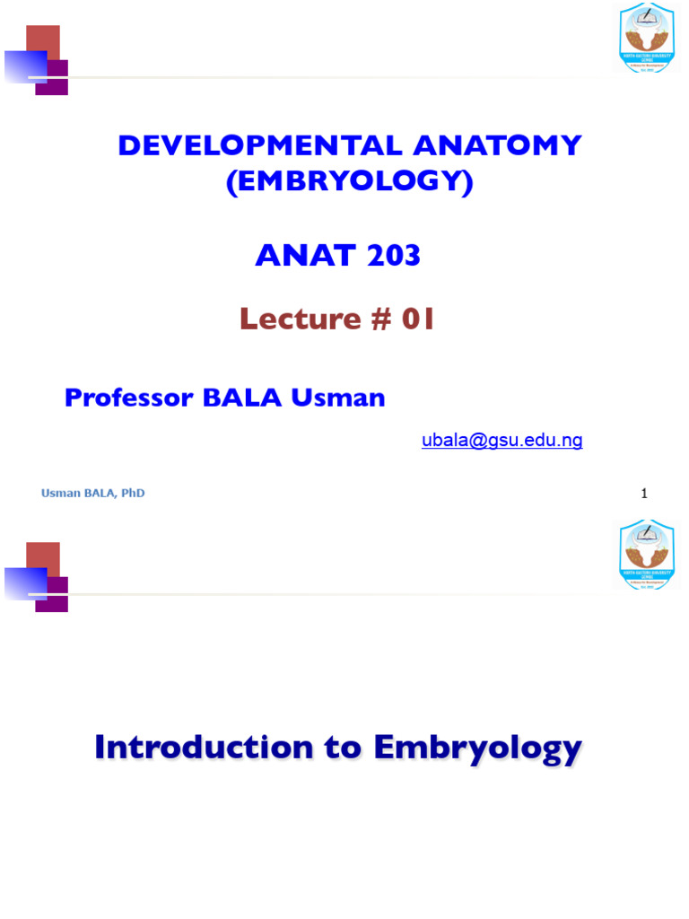 #01 - ANAT 203 - Introduction To Embryology 2 | PDF | Menstrual Cycle ...