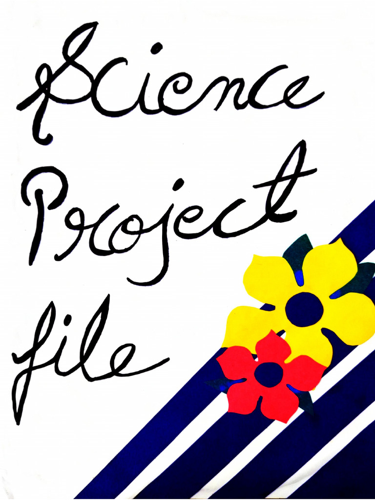 Science Project Natural Resources Class 10 2023-24 | PDF