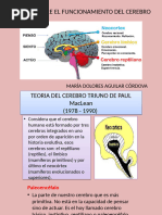 Modelo de Los Cuadrantes Cerebrales de Hermann | PDF | Hemisferio ...