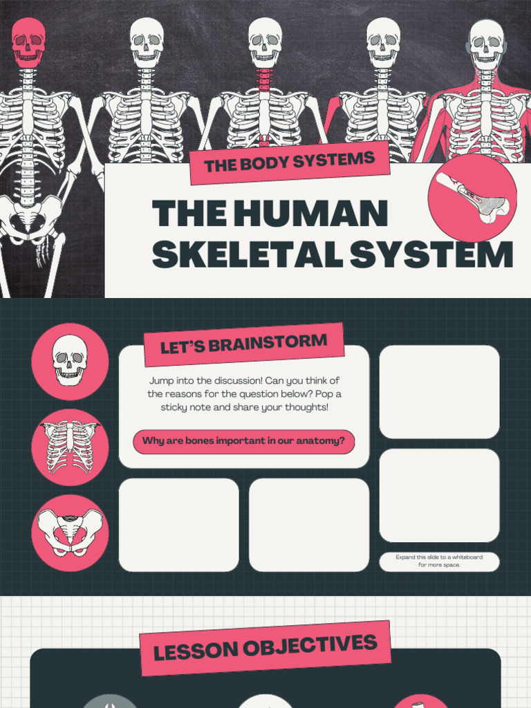 The Human Skeletal System Science Educational Presentation in Dark Gray ...