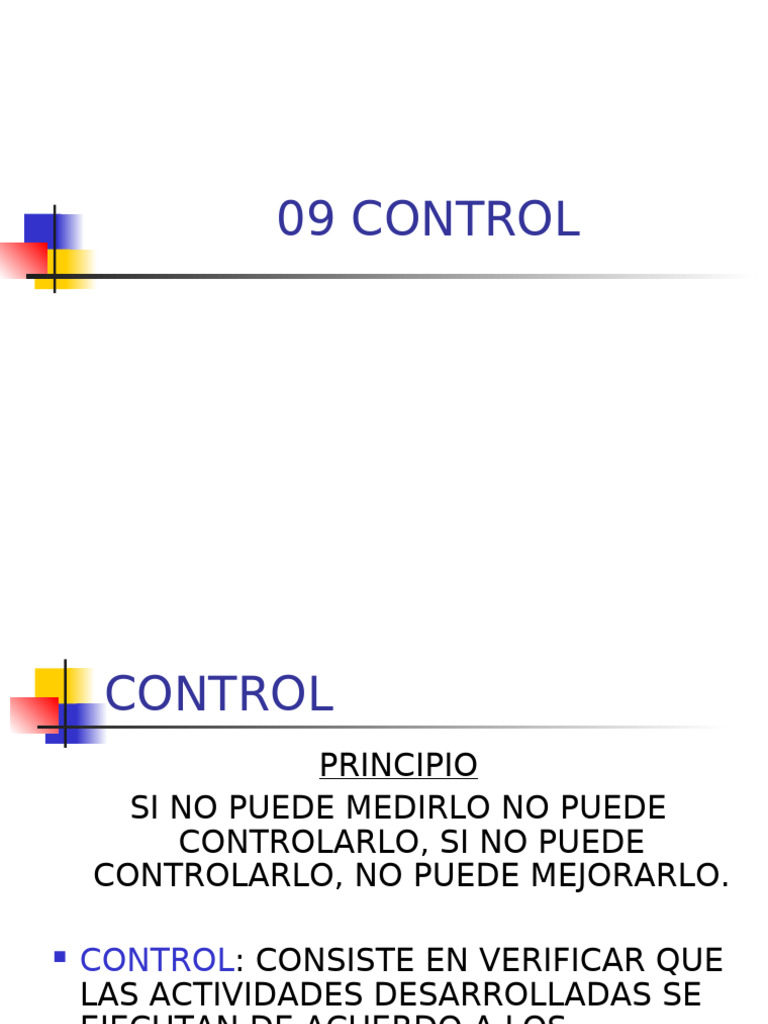 Proceso y Tipos de Control Empresarial | PDF | Marketing | Presupuesto