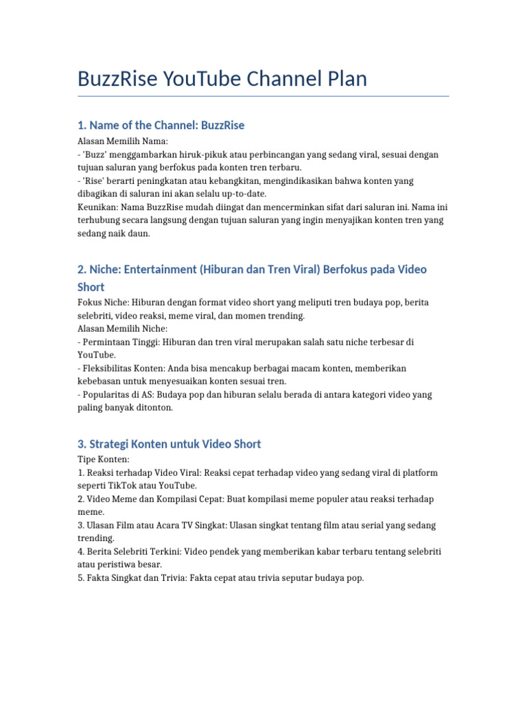 BuzzRise YouTube Channel Plan | PDF