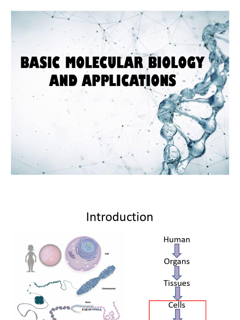 HPLC-Basic Molecular Biology and Applications | PDF | Translation (Biology) | Ribosome