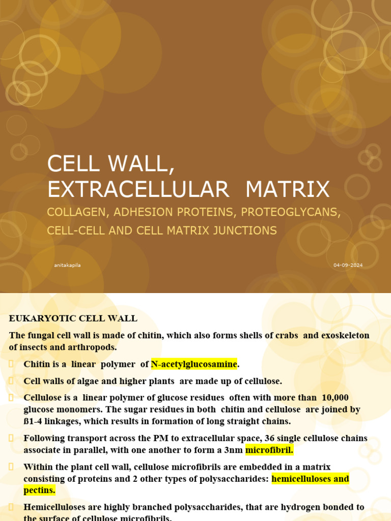 CELL WALL | PDF | Cell Adhesion | Extracellular Matrix