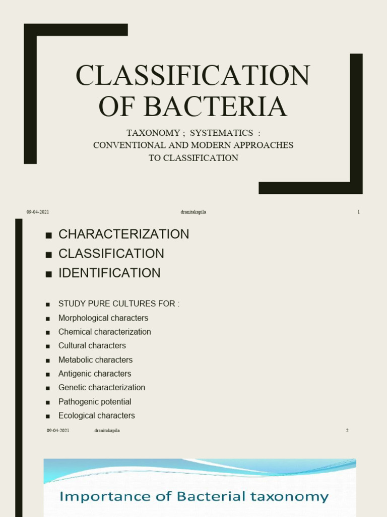Classification of Bacteria 2 | PDF | Taxonomy (Biology) | Bacteria