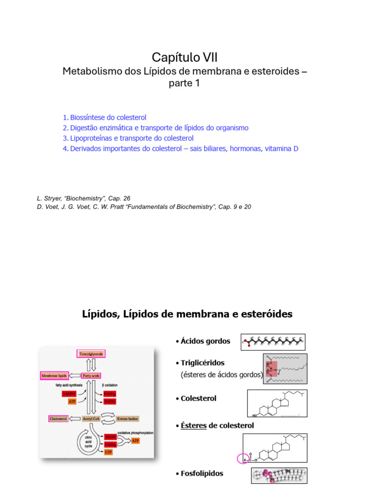 T18_MetabolismoColesterolPart1 | PDF | Lipídio | Colesterol